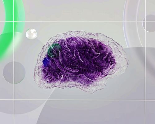 Machine Learning Models Tflite Pytorch Testing App Businessware Technologies