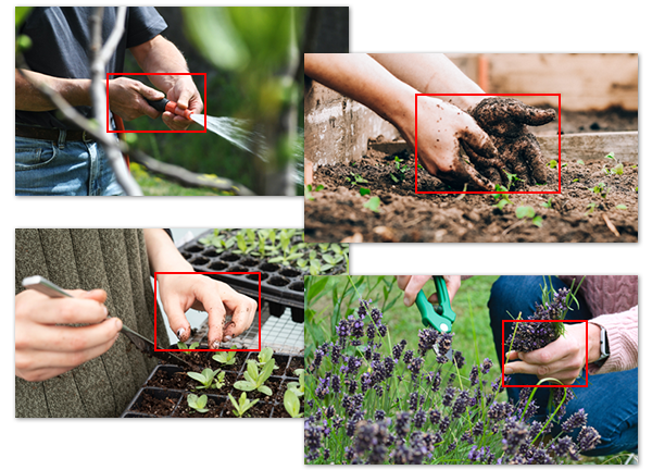 Butterfly AI - Image Recognition And Classification For Insect ...