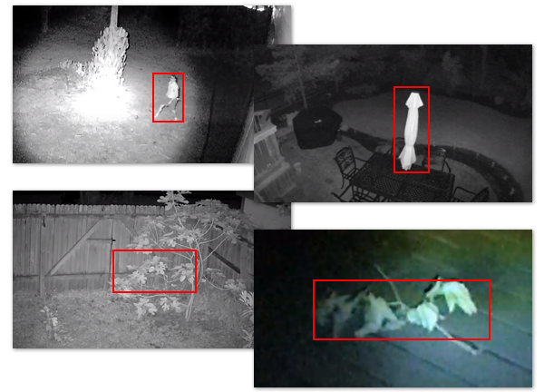 Butterfly AI - Image Recognition And Classification For Insect ...